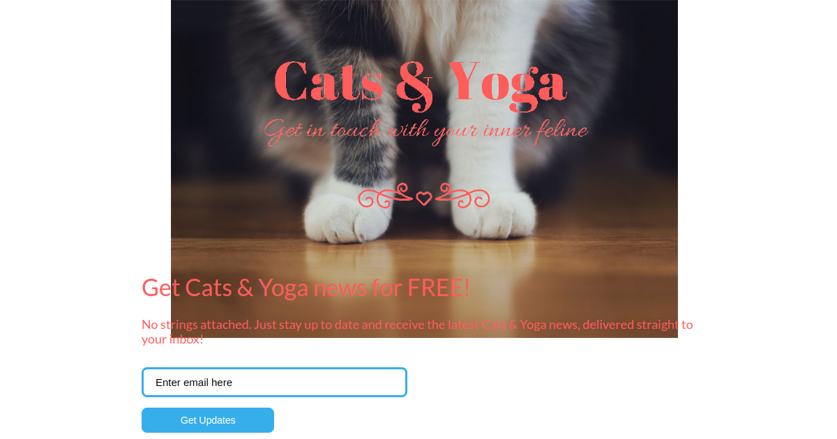 Cats & Yoga